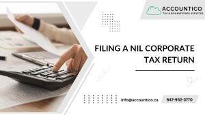 Filing a Nil Corporate Tax Return in Canada with No Activity
