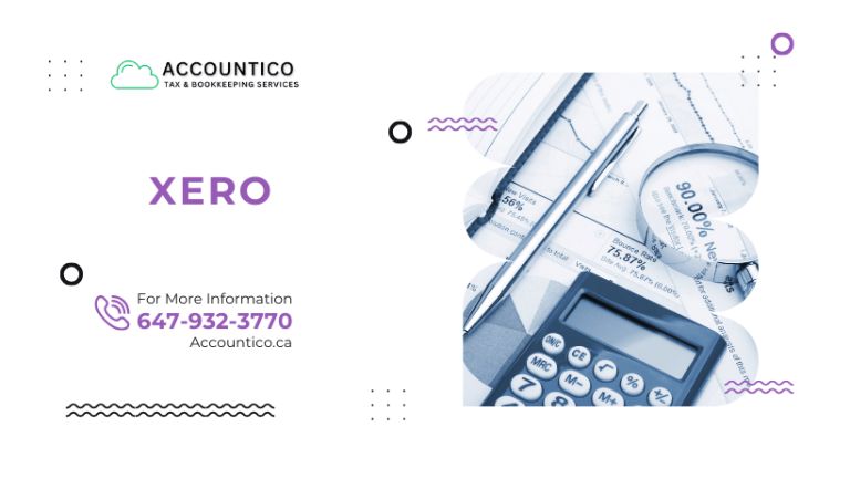 Xero Accounting Software Solution for Small Businesses
